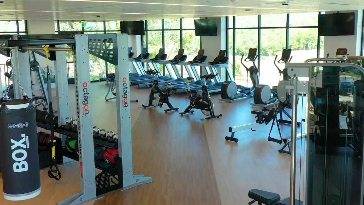 Kissing Tree Video Gallery - Watch Our Inspiring Stories